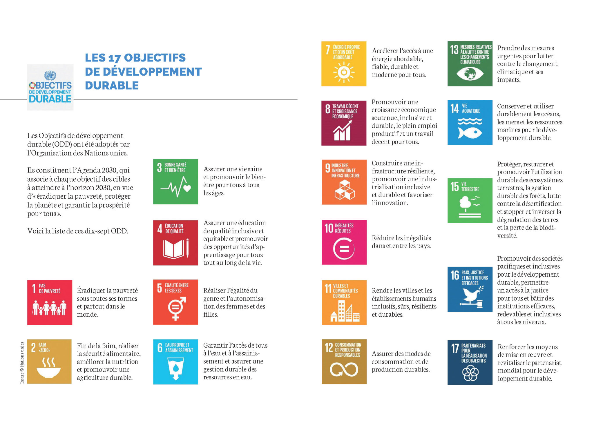 E3D - Collège Jean Ladignac